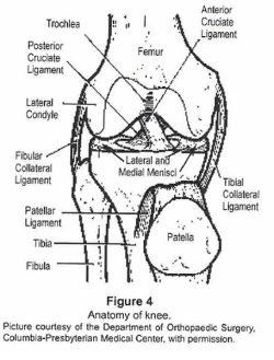 Anterior Knee Pain Relief in Nebraska
